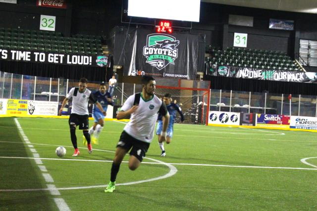 Home - Major Arena Soccer League